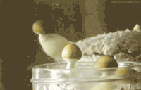 Psilocybin GIFs - Get the best gif on GIFER