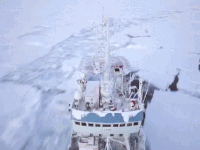 Icebreaker GIFs - Get the best gif on GIFER