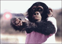 Shooting GIFs - Get the best gif on GIFER
