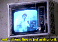 Twelve GIFs - Get the best gif on GIFER