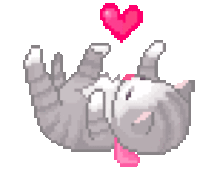 Transparents GIFs - Get the best gif on GIFER