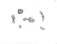 Cell division GIFs - Get the best gif on GIFER