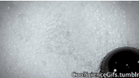 Monochrome GIFs - Get the best gif on GIFER