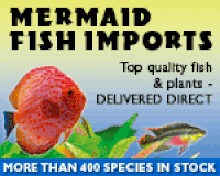 Purin GIFs - Get the best gif on GIFER