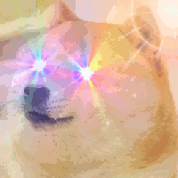 Doge GIFs - Get the best gif on GIFER