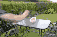 Board GIFs - Get the best gif on GIFER