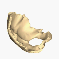 Bone GIFs - Get the best gif on GIFER