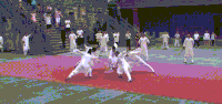 Wushu GIFs - Get the best gif on GIFER