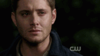 Sizes GIFs - Get the best gif on GIFER
