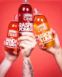 Cider GIFs - Get the best gif on GIFER