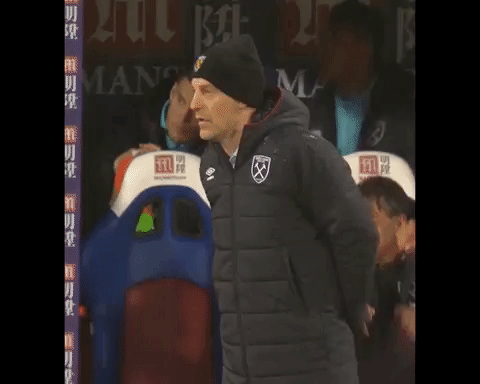 Bilic GIFs - Get the best gif on GIFER