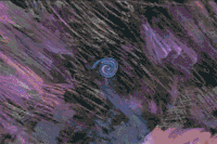 Chap GIFs - Get the best gif on GIFER