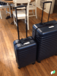 Luggage GIFs - Get the best gif on GIFER