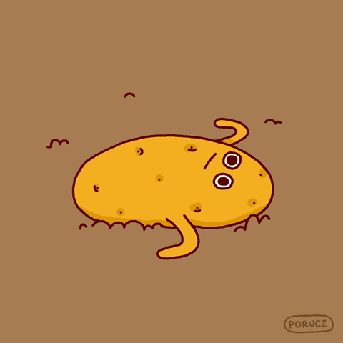 Bury GIFs - Get the best gif on GIFER