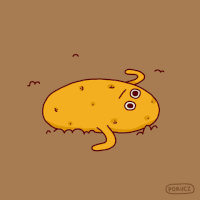 Potatoes GIFs - Get the best gif on GIFER