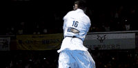 Karate GIFs - Get the best gif on GIFER