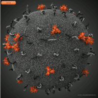 Microbiology GIFs - Get the best gif on GIFER