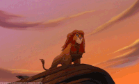 Simba GIFs - Get the best gif on GIFER