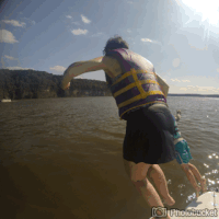 Fini GIFs - Get the best gif on GIFER