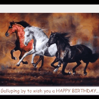 Pferd GIFs - Get the best gif on GIFER