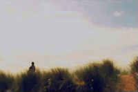 Signal lost GIF - Conseguir o melhor gif em GIFER