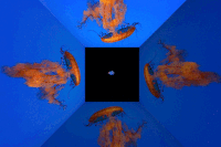 Dev GIFs - Get the best gif on GIFER