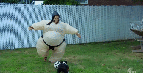 Sumo suit GIF - Conseguir o melhor gif em GIFER