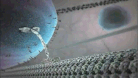 Membrane GIFs - Get the best gif on GIFER