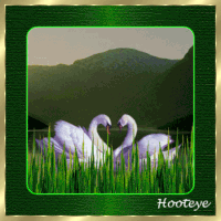 Displacement map GIFs - Get the best gif on GIFER