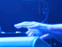 Phish GIFs - Get the best gif on GIFER