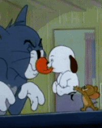 Tom GIFs - Get the best gif on GIFER