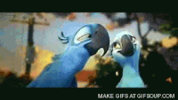 Rio GIFs - Get the best gif on GIFER