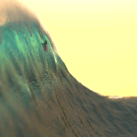 Tropical GIFs - Get the best gif on GIFER