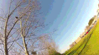 Falconry GIFs - Get the best gif on GIFER