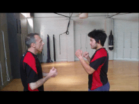 Sharp GIFs - Get the best gif on GIFER