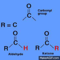 Organic GIFs - Get the best gif on GIFER