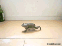 Secret passage GIF - Conseguir o melhor gif em GIFER