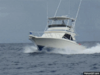 Charter GIFs - Get the best gif on GIFER