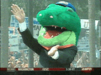 Gators GIFs - Get the best gif on GIFER