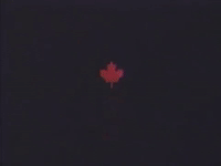 Leaf GIFs - Get the best gif on GIFER