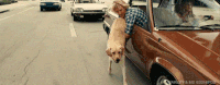 Late GIFs - Get the best gif on GIFER