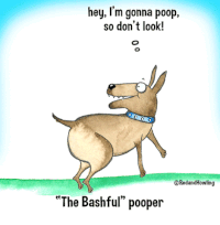 Bashful GIFs - Get the best gif on GIFER