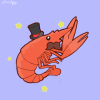 Shrimp GIFs - Get the best gif on GIFER