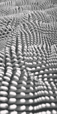 Endless loop GIFs - Get the best gif on GIFER