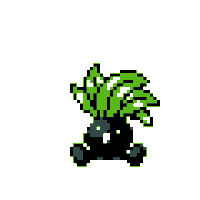 Pocket monsters GIF - Conseguir o melhor gif em GIFER