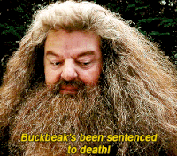 Hagrid GIFs - Get the best gif on GIFER