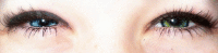 Eyelashes GIFs - Get the best gif on GIFER