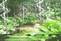 Plantwave GIFs - Get the best gif on GIFER