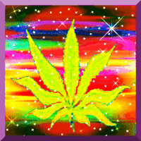 Pot GIFs - Get the best gif on GIFER