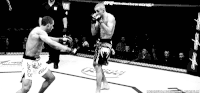 Ufc GIFs - Get the best gif on GIFER
